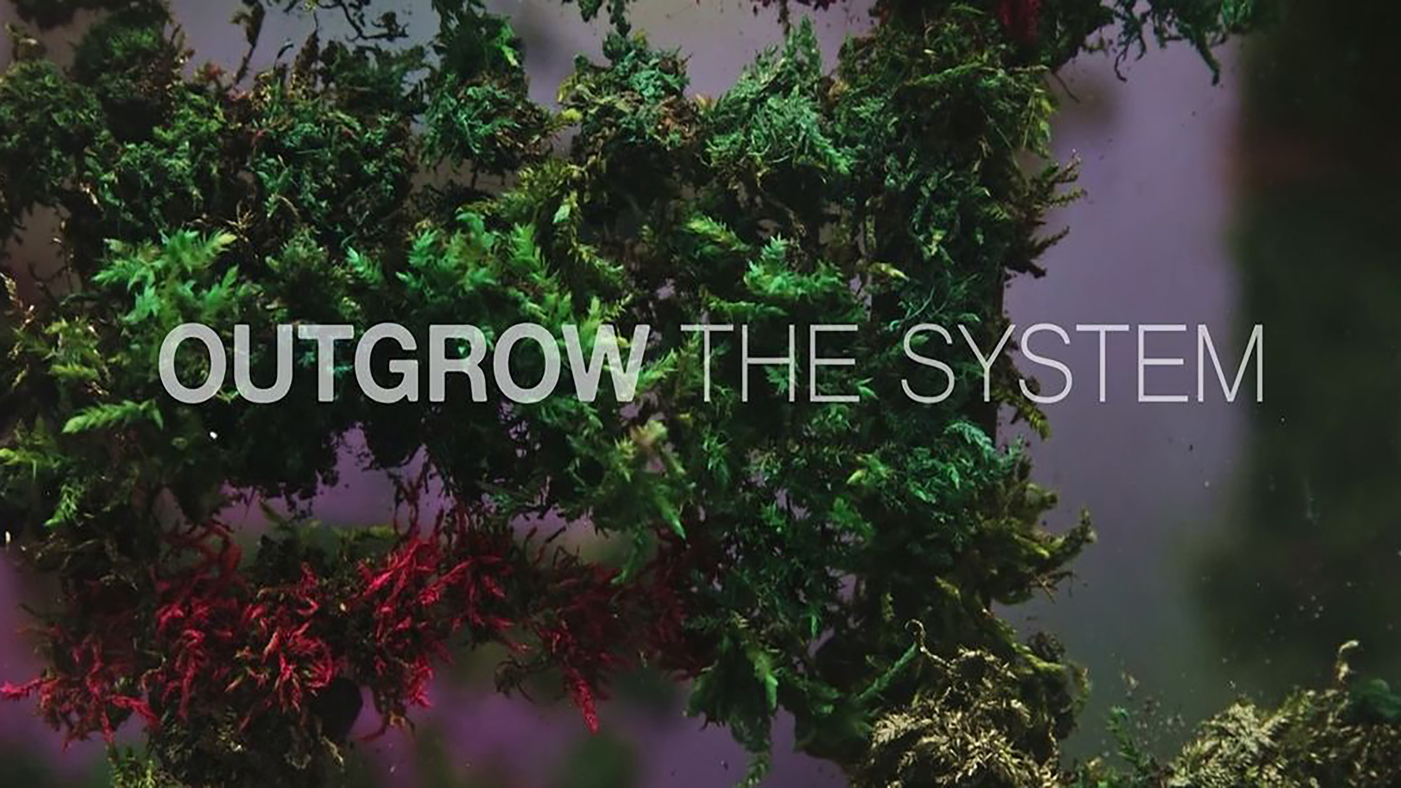 Outgrow the system - Proiezione gratuita del film | USI